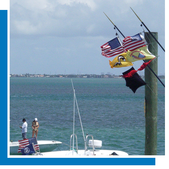 Stupid Flags – Stupid Flags